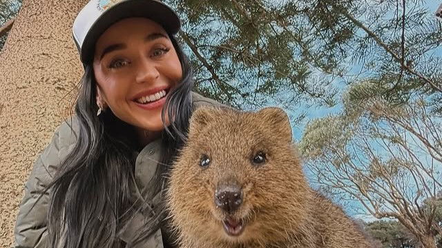 A Look Back at Katy Perry’s Workout and Diet Routine That Kept Her ...